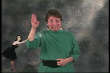 Sign Enhancers ASL Practice Series: ASL Vocabulary Affect & Structure